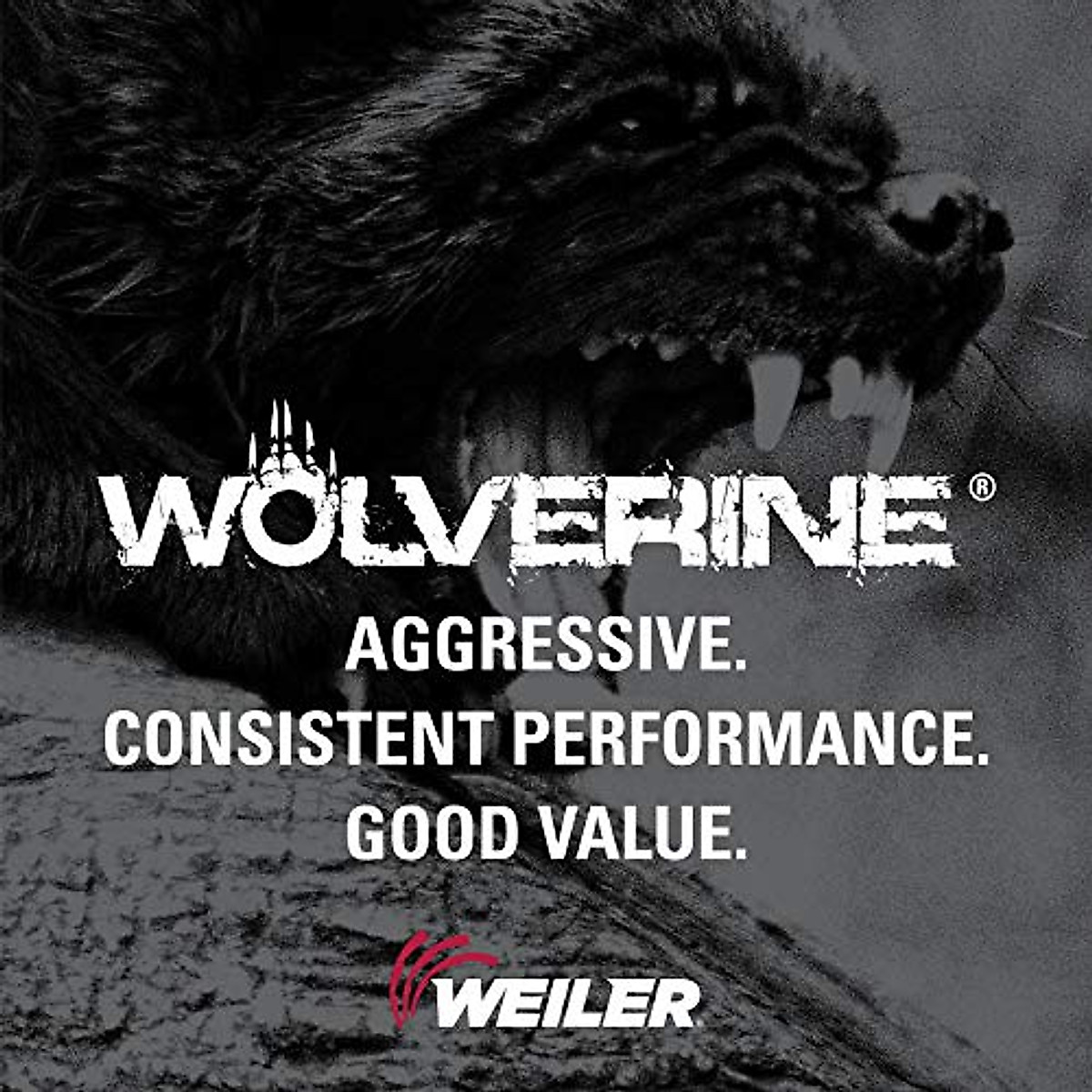 Weiler 56062 3" x 0.035" Wolverine Type 1 Thin Cutting Wheel, A60T, 3/8" A.H. (Pack of 100)