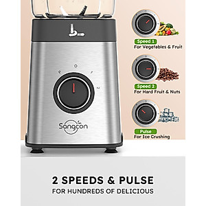 Sangcon Blenders and Food Processor Combo for Kitchen, 5 in 1 Blender for Shakes and Smoothies, Meat Chopped, Grinding & more, 40 oz Jar & 17oz Cup with To-Go Lid, Stainless Steel Silver