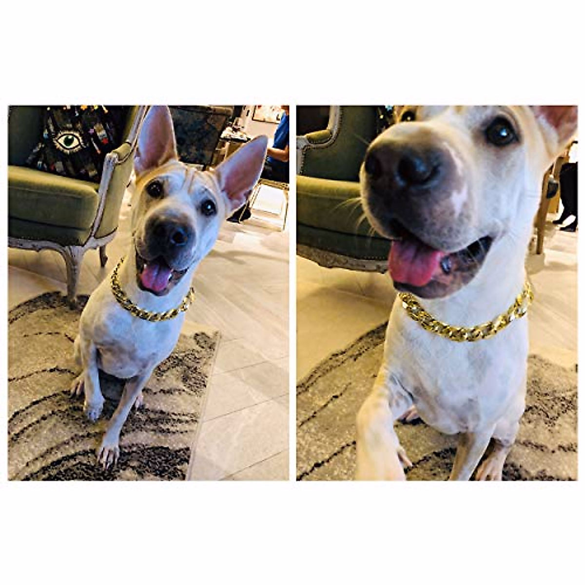 DS. DISTINCTIVE STYLE Retro Round Sunglasses with Golden Plastic Chain for Pet Cats and Small Dogs Cool and Funny Spectacles Pets Photo Props for Taking Pictures