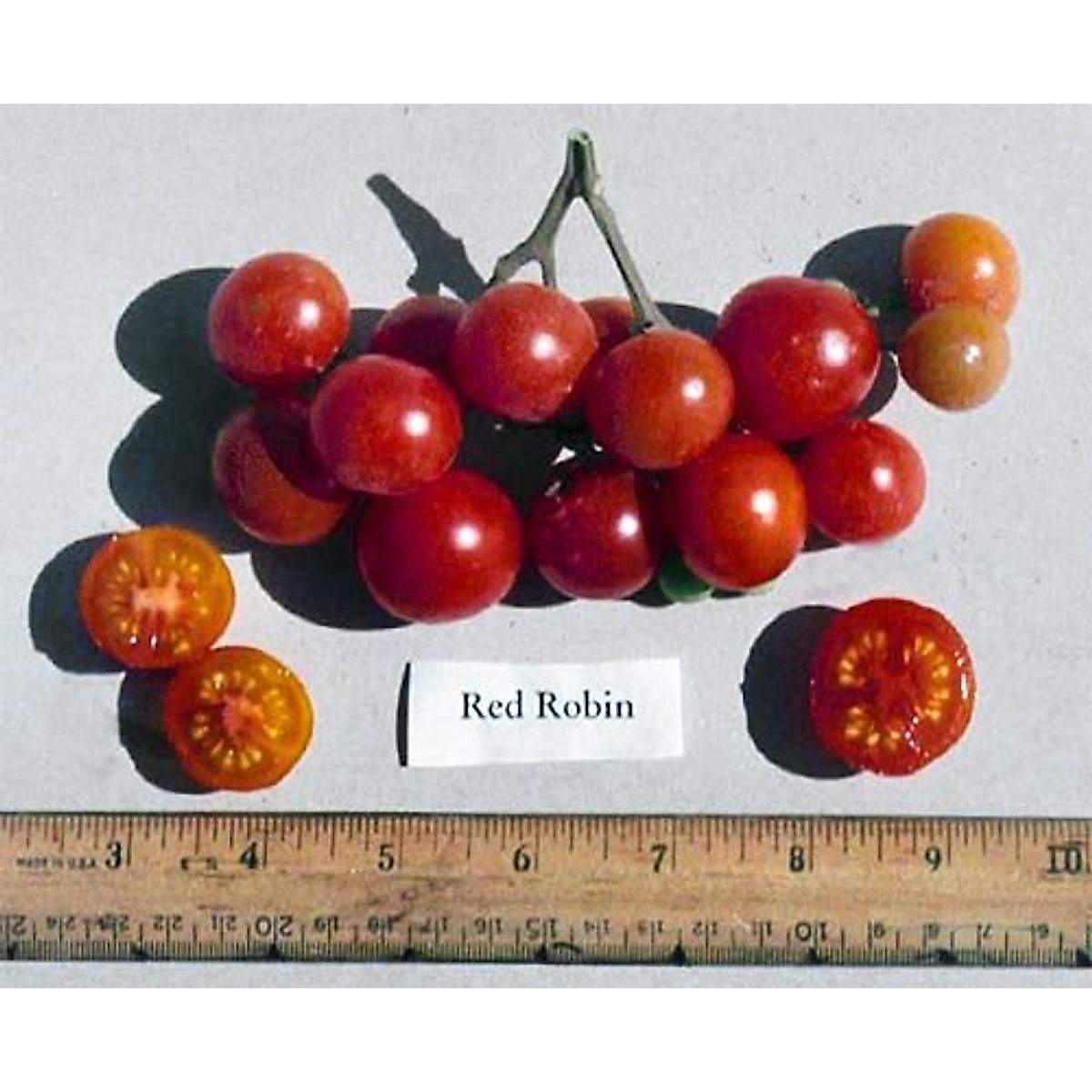 30+ Dwarf Red Robin Tomato Seeds, Heirloom Non-GMO, Sweet, Low Acid, Determinate, Open-Pollinated, Delicious, Lycopersicon lycopersicum, from USA