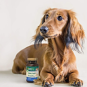 PetNC Natural Care Adult Multi Chewables for Dogs, 75 Count