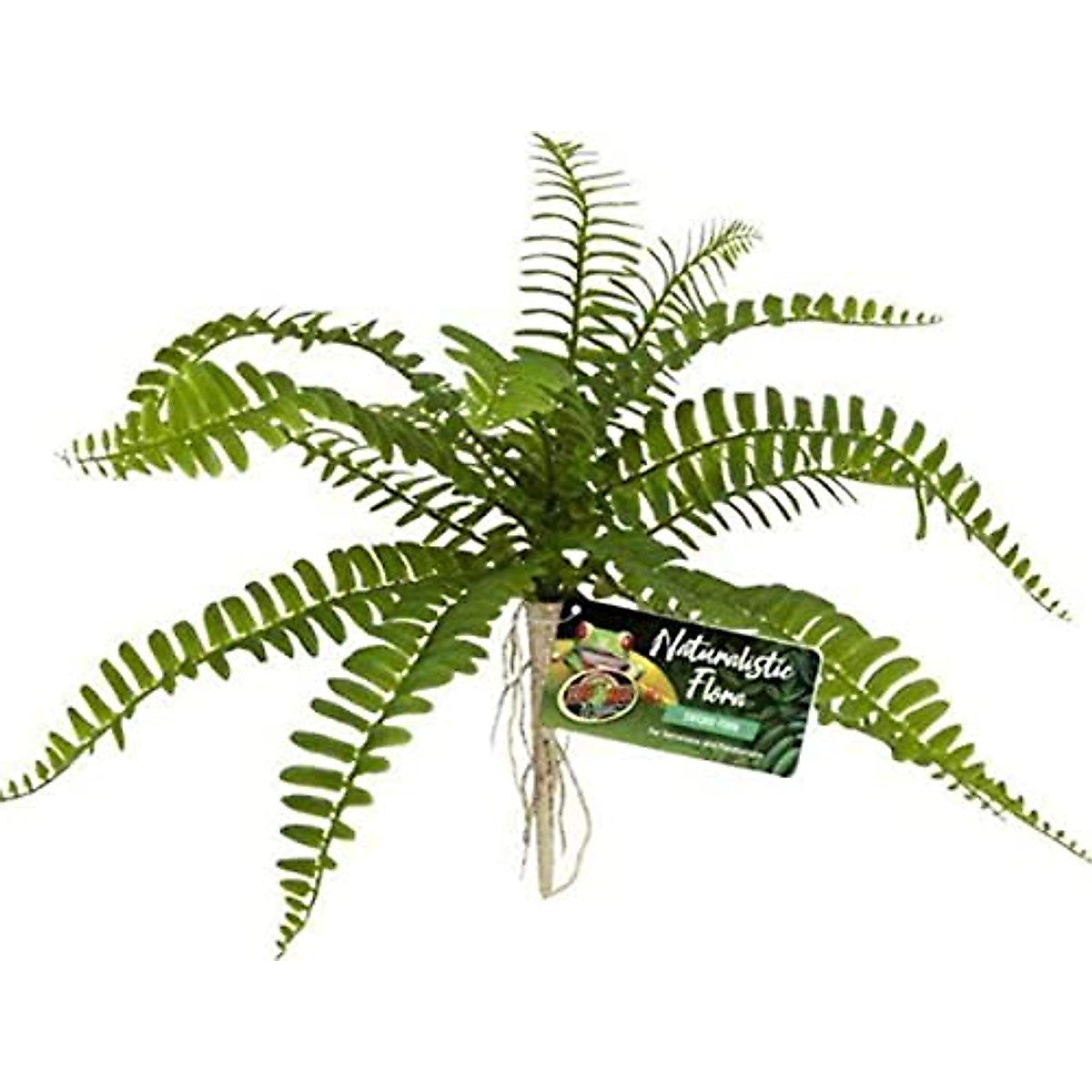 Zoo Med Sword Fern