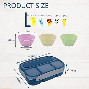 HappyRhino Bento Lunch Box for Kids Adult,4 Compartment Bento Box Adult Lunch Box Containers,Kids Lunch Box with Fun Accessories Silicone Food Cake Cups, Cute Food Picks for Kids,Easy to Clean (BLUE)