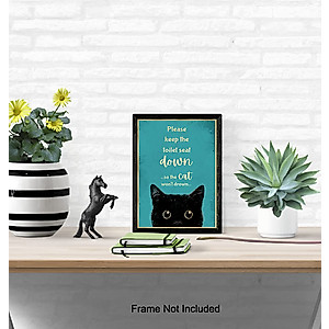 Put The Toilet Seat Down Sign - Cat Bathroom Decor - Bath Wall Decor - Funny Bathroom Wall Art - Blue Bathroom Decorations for Women, Kitty, Kitten Fan - Powder Room - Restroom Sign - Guest Bathroom