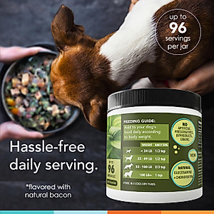 NUSENTIA Joint Health Supplement for Dogs, RJX Powder (144 G) - Extra Strength Glucosamine, Chondroitin, MSM