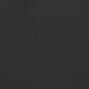 Little Seeds River Metal Toddler Bed, Black