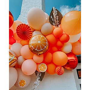 Little Cutie Orange Balloon Garland Arch Kit Macaron Orange And White Baby Shower Tangerine Theme Birthday Party Decor