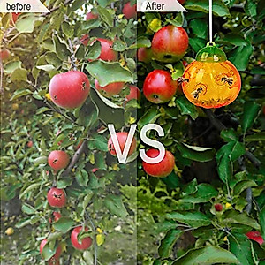 ASPECTEK Wasp Trap Catcher - Honey Bee Trap, Insect Catcher, Wasp Trap, Bee Trap, Hornet Outdoor Wasp Deterrent Killer, 2 Pack