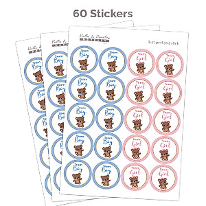 2 Inch (60 Pack) Teddy Bear Gender Reveal Stickers - Team Girl Boy Baby Shower Favors Labels Decorations Supplies