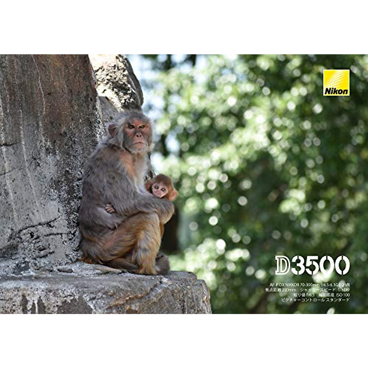 Nikon D3500 24.2MP DX-Format DSLR Digital Camera Double Zoom Lens Kit with 18-55mm f/3.5-5.6 and 70-300mm f/4.5-6.3 Lenses - (Japan Import)