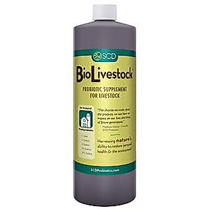 SCD Bio Livestock - Probiotic Feed and Water Additive, Organic Liquid Probiotic Supplement for Cows, Pigs, Horses, Chickens, Ducks, Rabbits, by SCD Probiotics - 1 Liter
