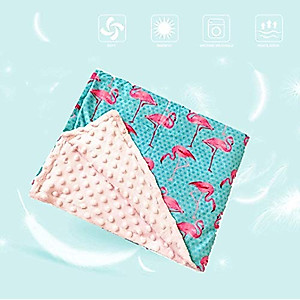 Baby Blanket Super Soft Minky Blanket with Double Layer Dotted Backing Pink Flamingo Security Blanket for Newborns Nursery Stroller Receiving Toddlers Crib Bedding for Boy or Girl(30 x 40 Inch)