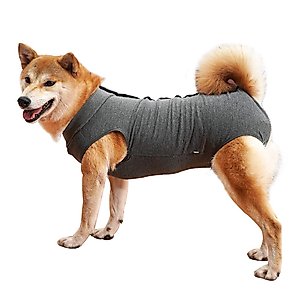 Dog Recovery Suit Abdominal Wound Puppy Surgical Clothes Post-Operative Vest Pet After Surgery Wear Substitute E-Collar & Cone(L, Grey)