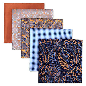 SHLAX&WING 5 Pieces Assorted Mens Silk Pocket Square Handkerchiefs Set 40