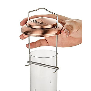 iBorn Metal Bird Feeder Thistle Bird Feeder,Finch Feeders for Thistle Seed,Tube Feeder Hanging Hook 14 Inch Brushed Copper