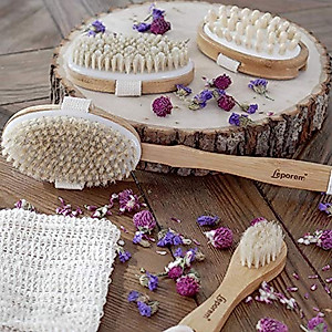 Body Brush - 5 in 1 Wet or Dry Brush, Back Brush, Shower & Bath Brush Scrubber with Non-Slip Long handle, Exfoliating Face Brush Massager, Sisal Bag, Cellulite Massager, Natural Bristle, Gift Set
