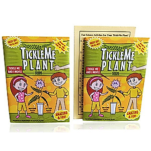 TickleMe Plant Seeds Packets (2) Party Favor! Leaves Fold Together When You Tickle It. Great Science Fun, Easy to Grow Indoors. It Can Flower. Include 10 Activities. Re-Opens in Minutes!