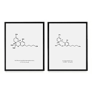 - Cannabis THC & CBD Molecule Poster Print - Scientific Wall Art - House Home Décor - Housewarming Gift - Set of 2 8x10 Unframed Art Prints
