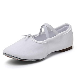 SWDZM Women's Latin Dance Shoes Close Toe Canvas Ballroom Tango Yoga Teaching Practice Dancing Shoes,White,WZJ US 8.5