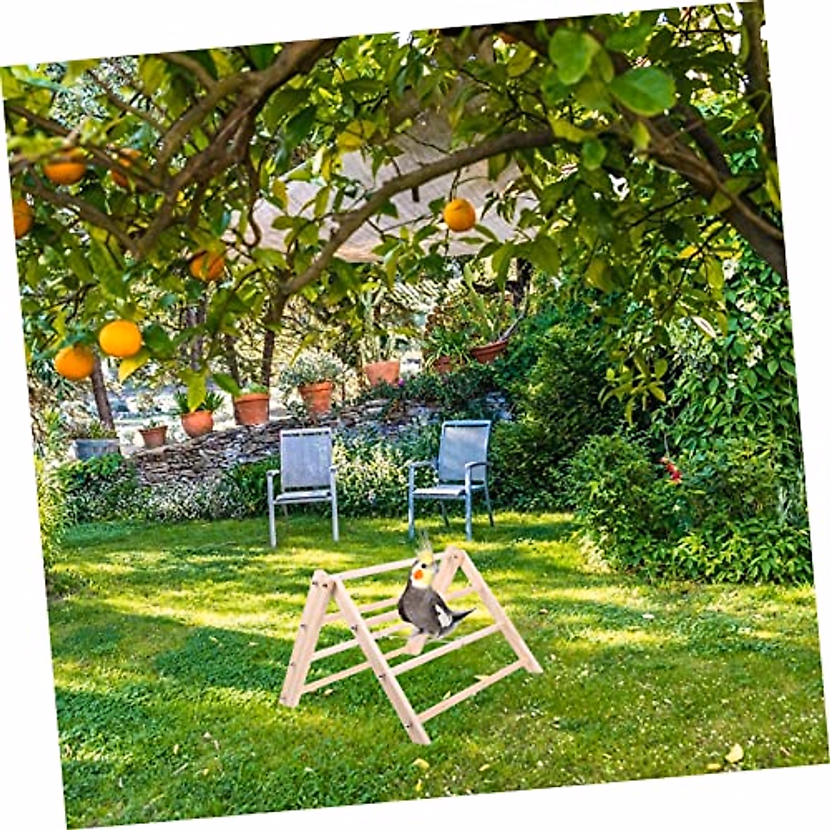 LIFKICH 1pc Perch Trainning Funny Parakeets Conures Toy Birdcage Rod Portable Balancing Safe Playpen Bar Rest Branch Ladder Rooster Platform Standing Folding Play Pet Chicken Exercise