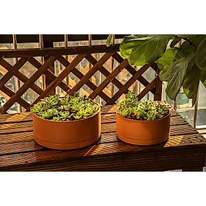 D'vine Dev 10 Inch Succulent Terracotta Shallow Pot with Drainage Hole and Saucer, Round Cylinder Planter Pot for Plant Flower, 40-B-L-10-1