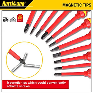 HURRICANE 1000V Insulated Electrician Screwdriver Set, All-in-One Premium Professional 13-Pieces CR-V Magnetic Phillips Slotted Pozidriv Torx Screwdriver