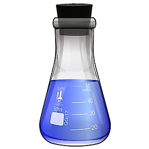 50ml Narrow Mouth Erlenmeyer Flask with Rubber Stopper (Single)