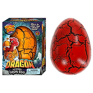 JA-RU Giant Hatching & Growing Dragon Eggs (1 Egg Assorted) Mystery Surprise Dinosaur Toys for Kids. Water Growing Toys. Easter Basket Birthday Party Stocking Stuffer. 4604-1A