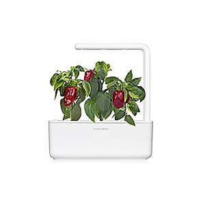 Click and Grow Smart Garden Red Sweet Pepper Plant Pods, 3-Pack