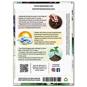 Seed Needs, Black Peony Poppy Seeds - 500 Heirloom Seeds for Planting Papaver paeoniflorum - Beautiful Dark Burgundy Flowers (1 Pack)