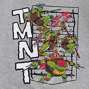 Teenage Mutant Ninja Turtles Donatello Raphael Leonardo Toddler Boys Fleece Sweatshirt and Pants Set Gray/Green 5T