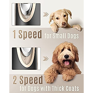 oneisall Dog Clippers Low Noise, 2-Speed Quiet Dog Grooming Kit Rechargeable Cordless Pet Hair Clipper Trimmer Shaver for Small and Large Dogs Cats Animals (Gold)