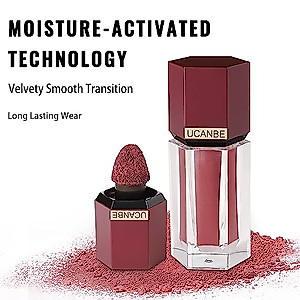 UCANBE 3 Pcs Powder-to-Cream Lip Color Matte Lipstick Set, Highly Pigmented Velvet Smooth Face Makeup Powder for Lip, Eye & Cheek, Non-sticky Long Lasting Makeup Lip Sticks Kit #1