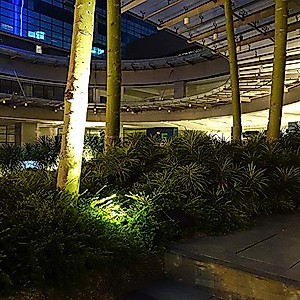 4-Spotlight Mini 50X Solar-Powered LED Spotlight (Warm White LED), Black Finish, Outdoor Garden Yard Landscape Downlight