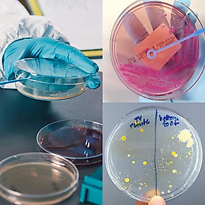 Estresen 30 PCS 90mm Plastic Petri Dish with Lids, Sterile with 10PCS 10uL Inoculation Loops