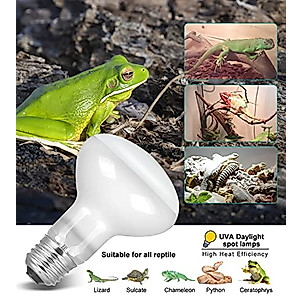 BOEESPAT 2 Pack 100W Reptile Heat Lamp Bulbs, UVA Reptile Light Bulb (2nd Gen), Daylight Basking Bulb for Bearded Dragon, Lizard,Tortoise,Hedgehogs,Amphibian...