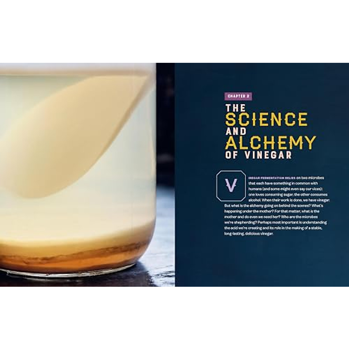 Homebrewed Vinegar: How to Ferment 60 Delicious Varieties, Including Carrot-Ginger, Beet, Brown Banana, Pineapple, Corncob, Honey, and Apple Cider Vinegar