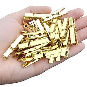 200 Pieces Photo Clips,Mini Rose Rold Plastic Utility Paper Clip Clothespins Clip