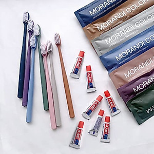 Alaisee Disposable Toothbrushes with Toothpaste, Travel Toothbrush Kit for Adults, in 7 Colours and Individually Packaged (25 Packs)