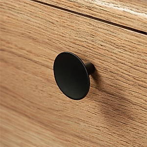 Sauder Dover Edge Engineered Wood Night Stand in Timber Oak Finish