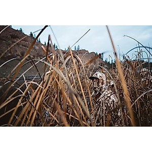 First Lite Men’s Origin Hoody - Lightweight Fleece Insulated Camo Hunting Fleece Pullover - First Lite Typha - Medium