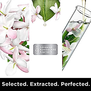 ApotheCARE Essentials The Mender Damaged Hair Repair Shampoo, Coconut Milk, White Jasmine, Vitamin E, 12 oz