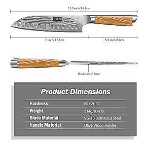 HOSHANHO Damascus Santoku Knife 7 Inch, Professional Japanese Damascus Super Steel Kitchen Knife, Sharp Cooking Knife with Durable Ergonomic Olive Wood Handle