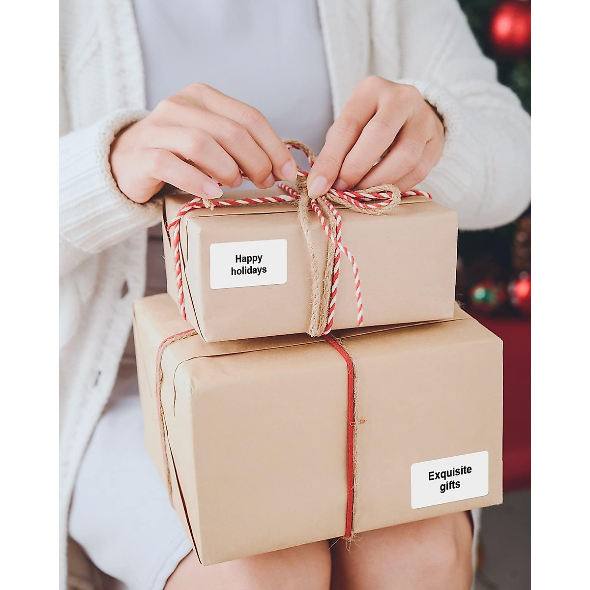 2" x 4" Shipping Address Labels Compatible with Avery 5163, 8163, POLONO Internet Mailing Shipping Labels, White Sticker Labels for Laser/Ink Jet Printers, Permanent Adhesive (250 Labels, 25 Sheets)