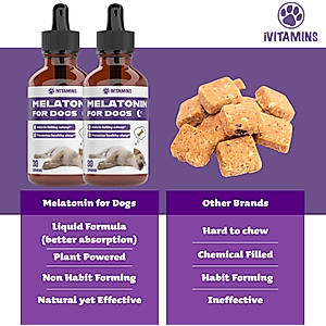 Melatonin for Dogs | Dog Melatonin | Melatonin for Dogs Sleep | Sleep Aid for Dogs | Dog Sleep Aid | Dog Calming | Calming for Dogs | Dog Calming Treats | Dog Anxiety Relief | (1)