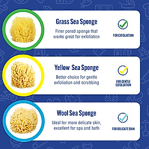 Baby Buddy Natural Wool Sea Sponge, Newborn Bath Time Essential, Ultra Soft for Delicate Skin, Hypoallergenic and Biodegradable, 1 Pack