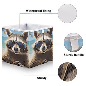 YMGQYJ Collapsible Storage Cube Beach Raccoon Print, Organizing Baskets with Reinforced Board for Shelf Closet Cabinet 11×11×11 in