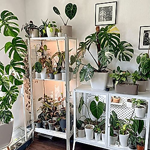 DOMMIA Grow Lights, Full Spectrum 12W(120W Equiv) Grow Light for Indoor Plants, 84 LEDs Sunlike Plant Grow Light with On/Off Switch for Seed Starting, Hydroponics, Succulents & More, Easy to Assemble