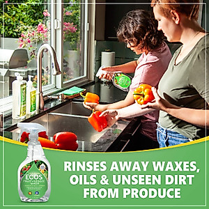 ECOS® Non-Toxic Fruit + Veggie Wash: 22oz Spray Bottle by Earth Friendly Products (Pack of 2)