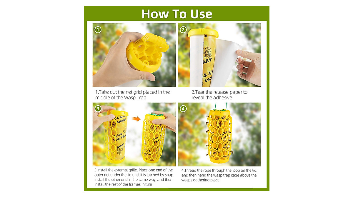 Effective Sticky Fly Traps for Wasp and Bee Control